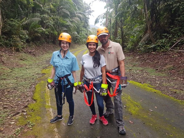 Gamboa Tree Trek zip line