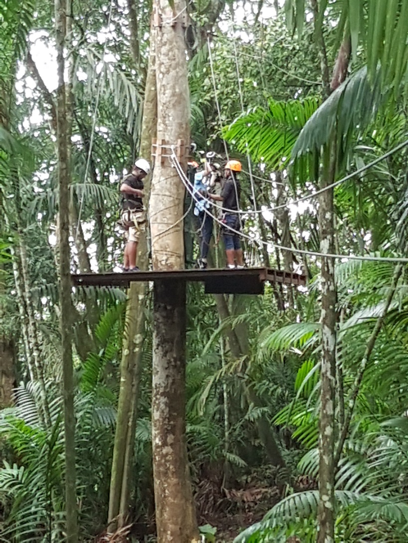 Gamboa Tree Trek zip line